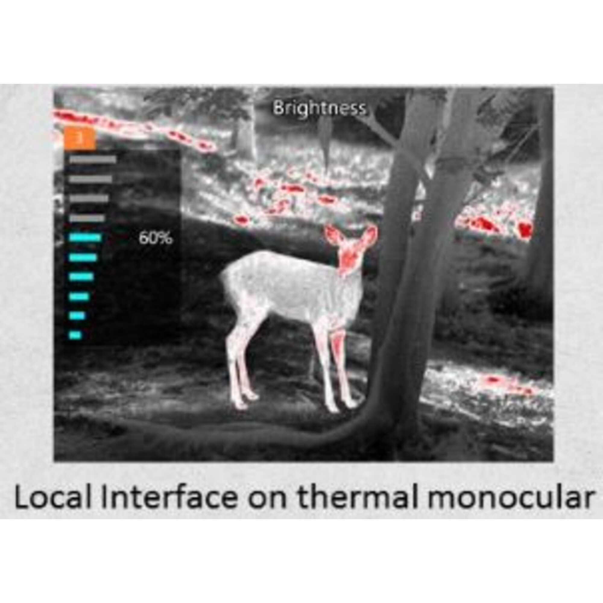 Guide Thermal imaging camera TrackIR 35mm